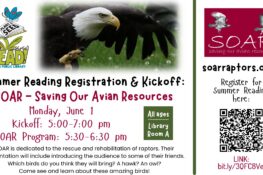 APL Summer Reading Program Begins June 1st - KLGAZ